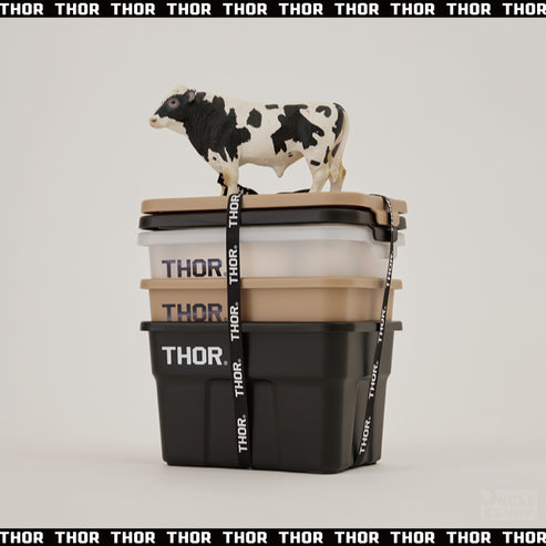 THOR • Mini Box 迷你THOR箱 - 身為THOR家族最可愛的存在啊!!! （此系列完售）